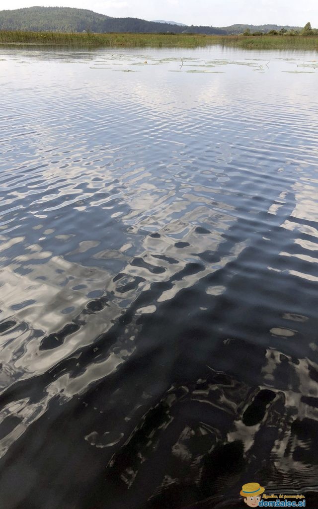 Špela Kragelj Bračko_Polno vode_ - domžalec.si