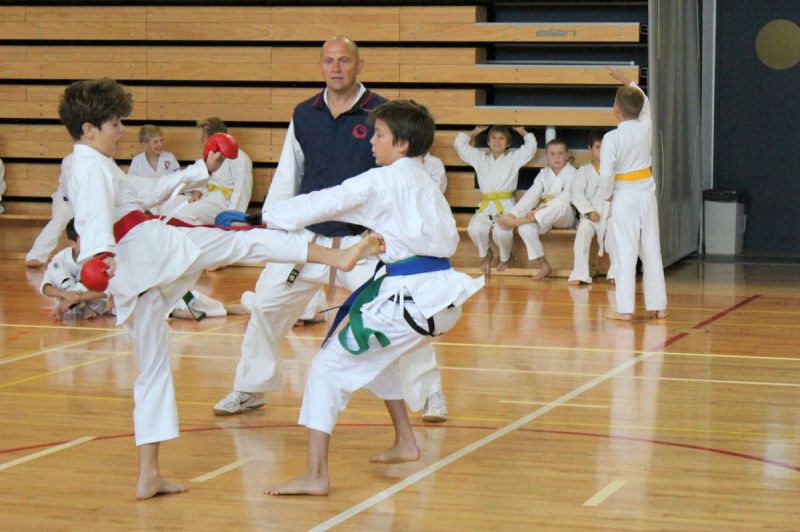 Sankukai regijsko tekmovanje - domžalec.si